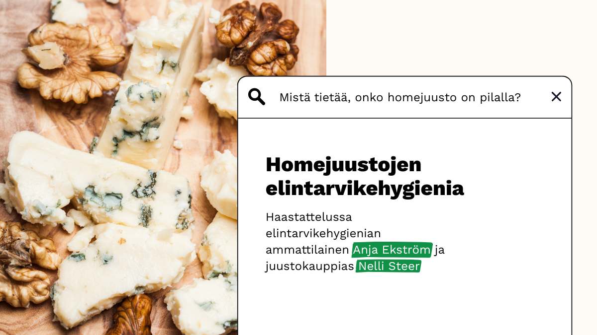 Milloin homejuusto on pilalla? | Homejuustojen elintarvikehygienia